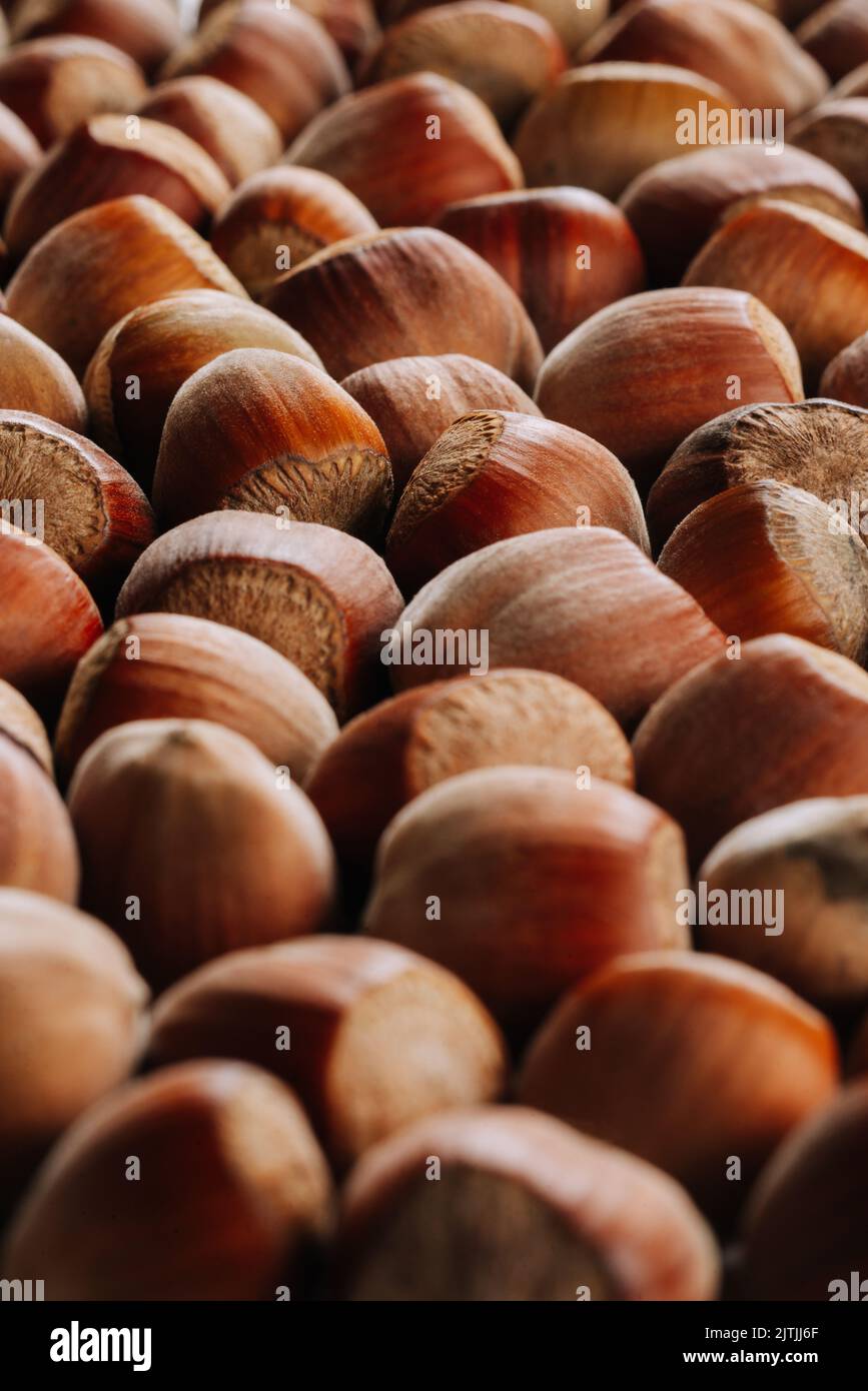Hazelnuts texture hi-res stock photography and images - Alamy