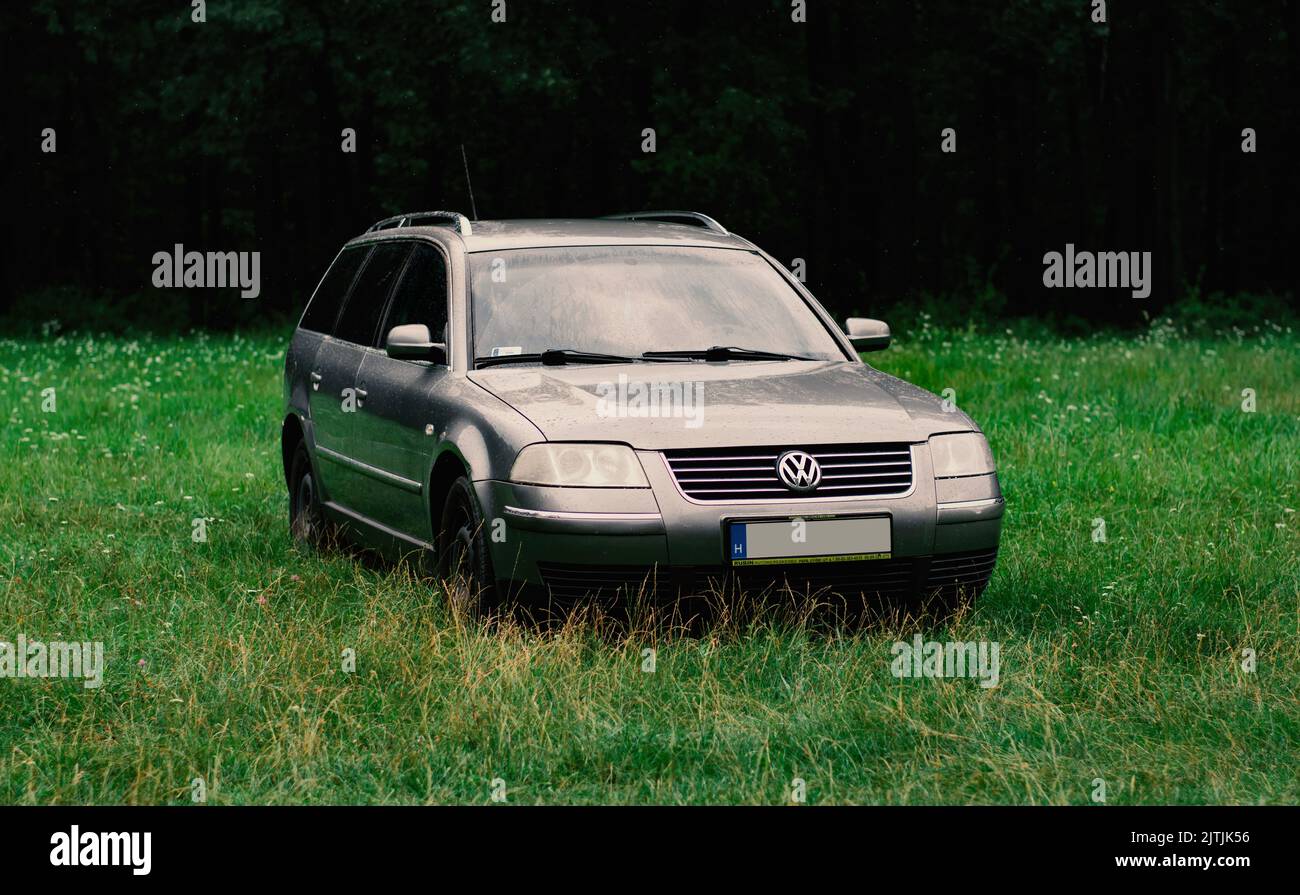 Volkswagen Passat Car Portrait In the Forest Parking Stock Photo - Alamy