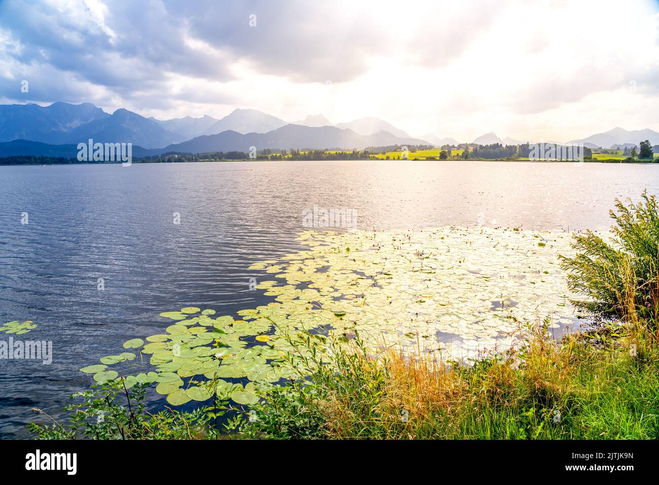 Hopfen am See am Hopfensee, Bavaria, Germany Stock Photo - Alamy