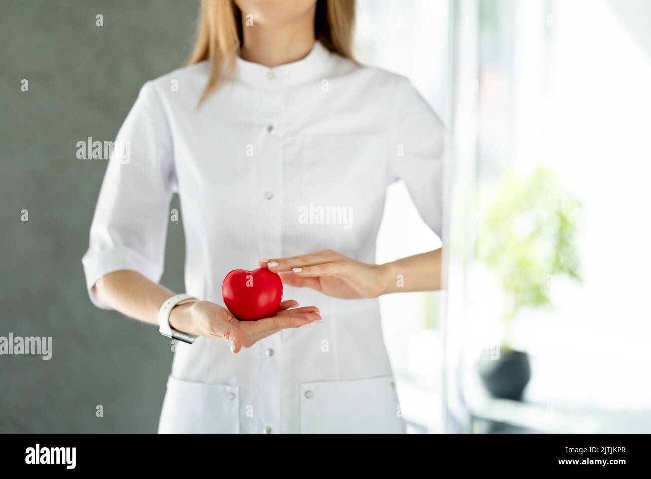 Woman cardiologist doctor holds and shows heart red model in clinic ...