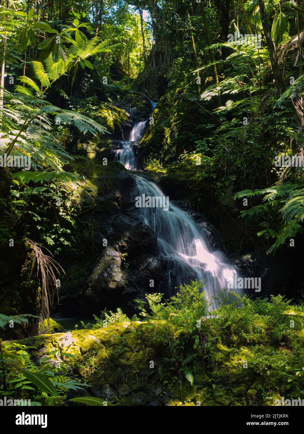 A beautiful view of waterfall flowing over the rocks in the forest ...