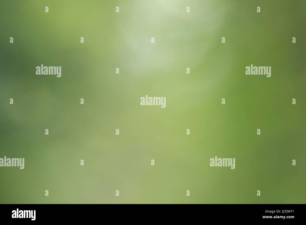Abstract green blurred background and sunlight Stock Photo - Alamy