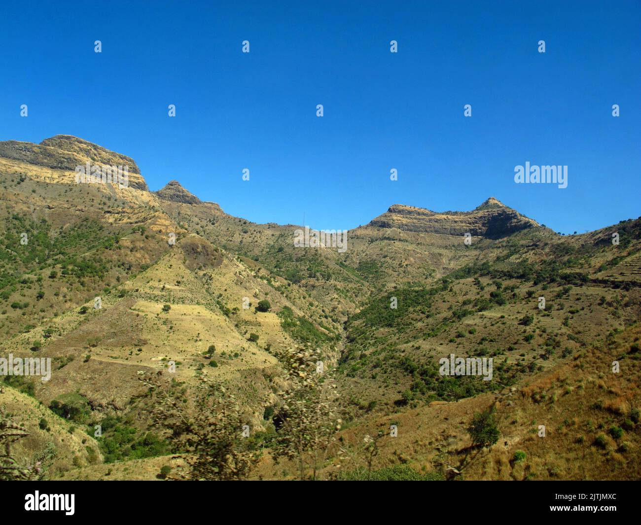 Tribe of simeon hi-res stock photography and images - Alamy