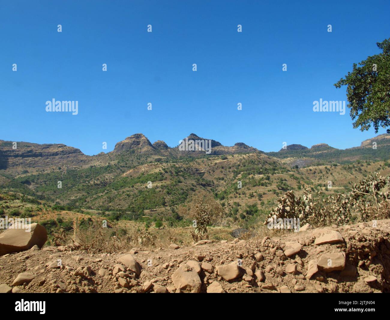 Tribe of simeon hi-res stock photography and images - Alamy
