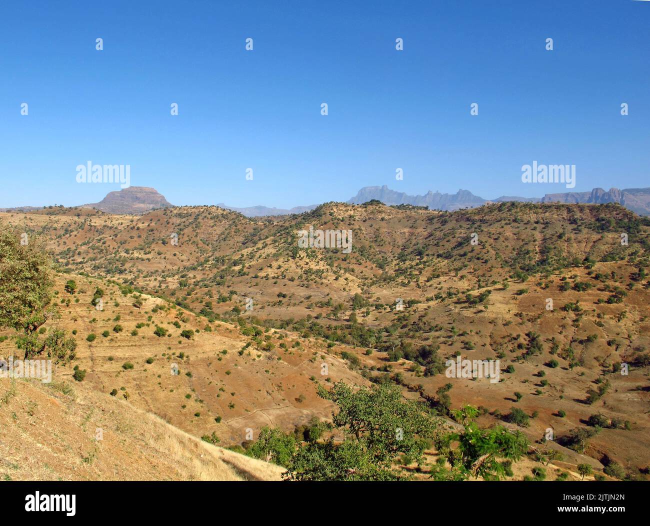 Tribe of simeon hi-res stock photography and images - Alamy