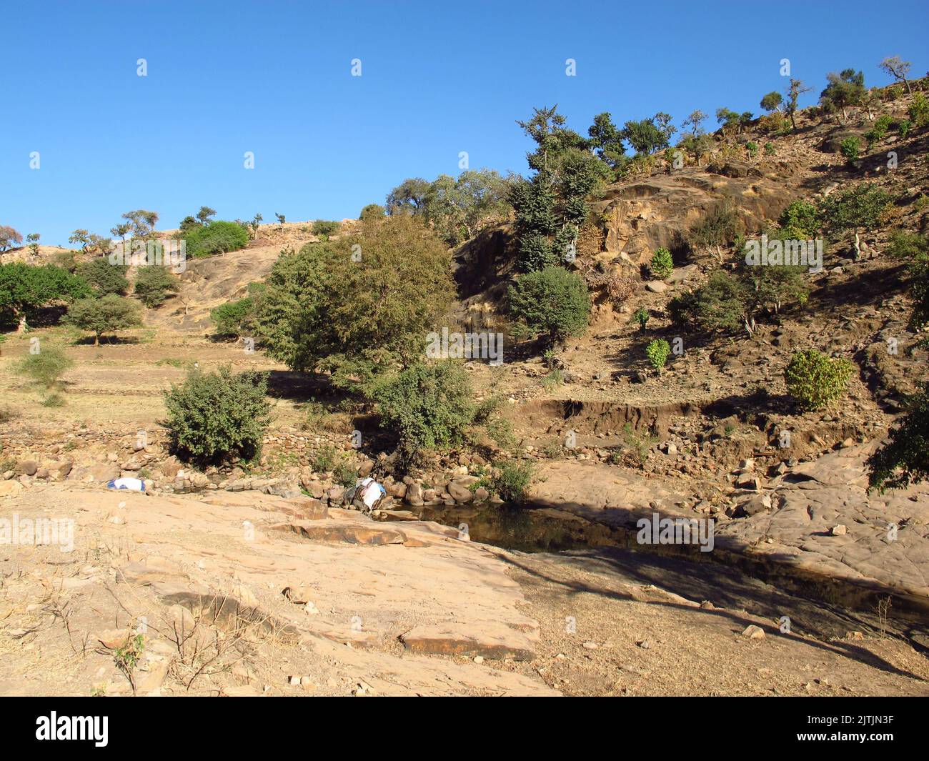 Tribe of simeon hi-res stock photography and images - Alamy