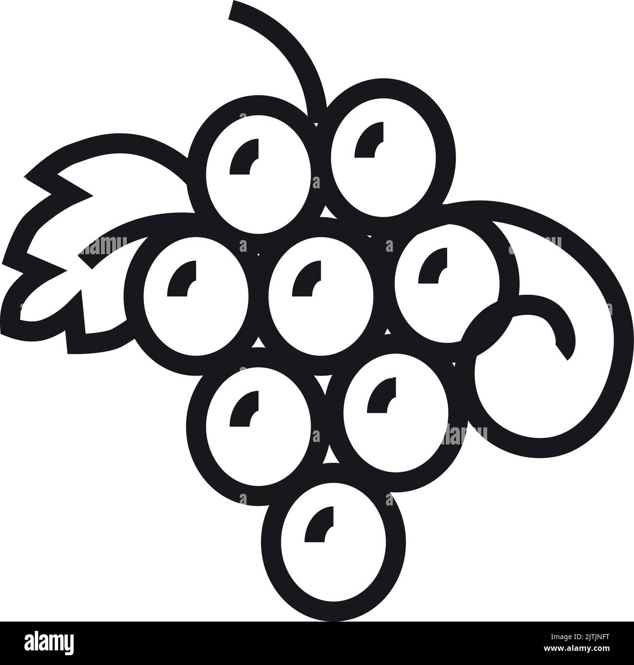 Grape valley Stock Vector Images - Alamy