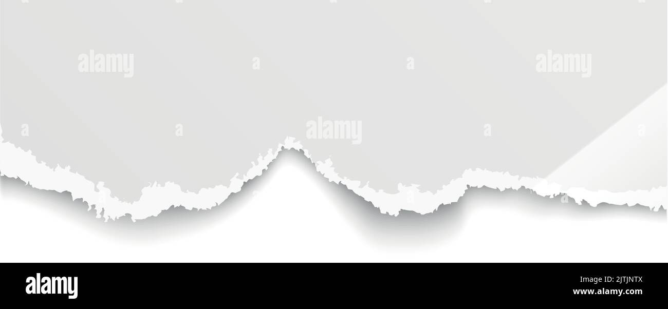 Blank white scrap with realistic paper ripped edge Stock Vector Image ...