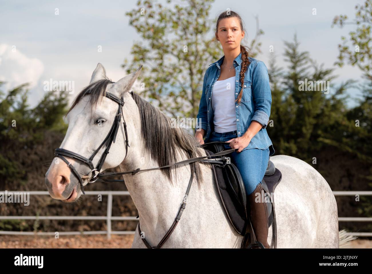 Side view of a woman posing on a white horse in a stable in summer ...