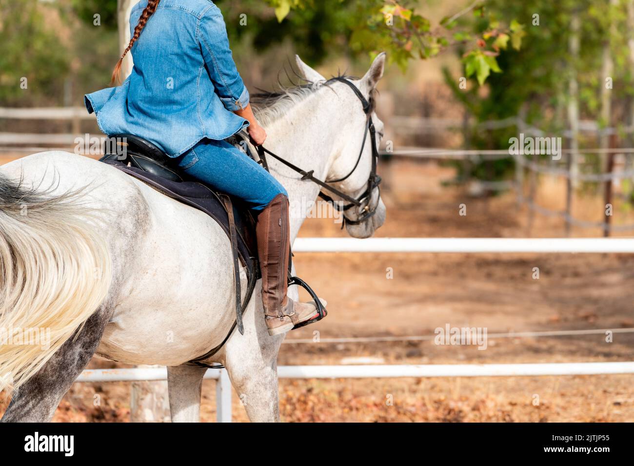 Cropped side view of unrecognizable girl riding white horse in stable ...