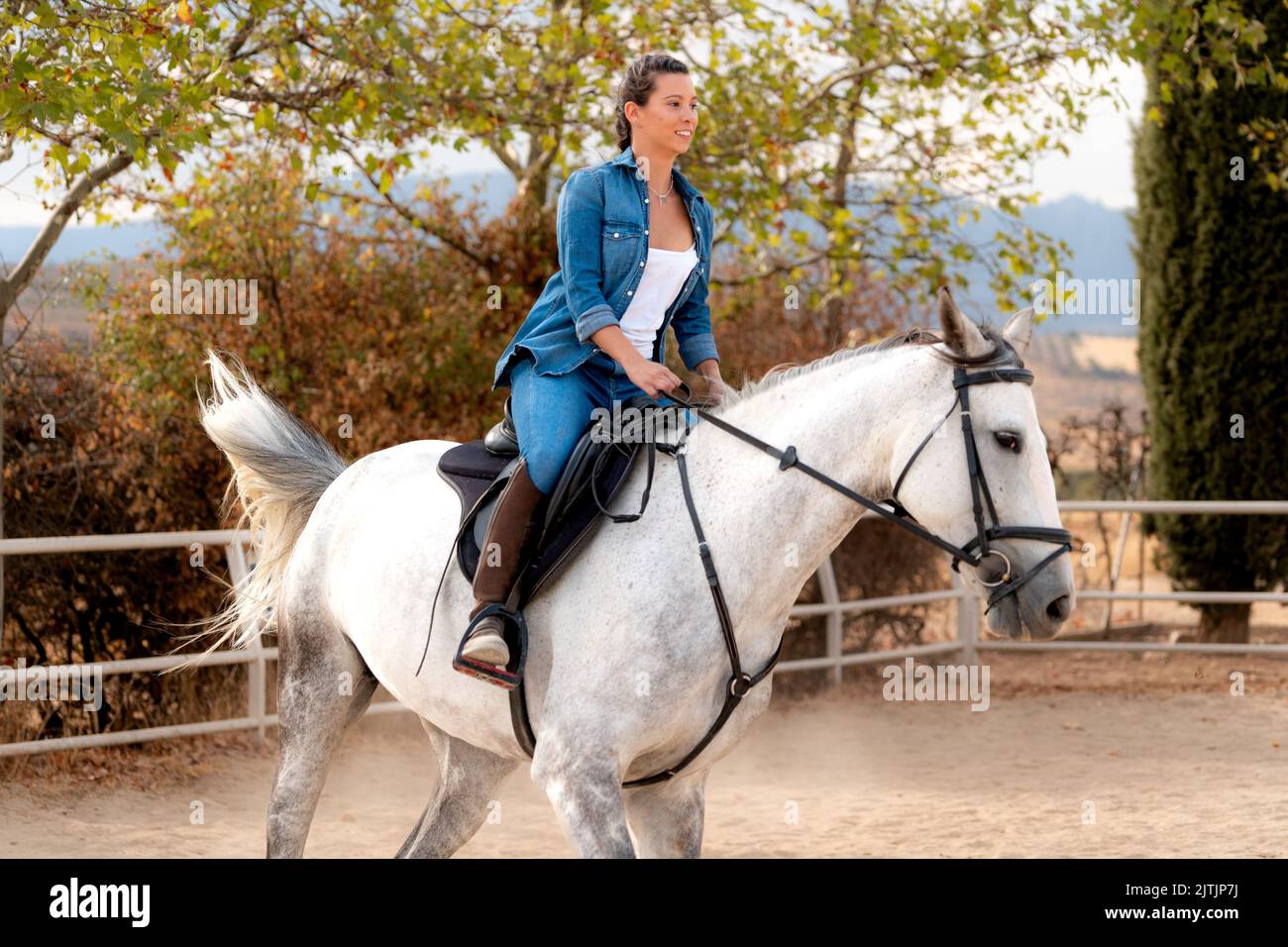 side view of a girl riding white horse in stable in summer Stock Photo ...