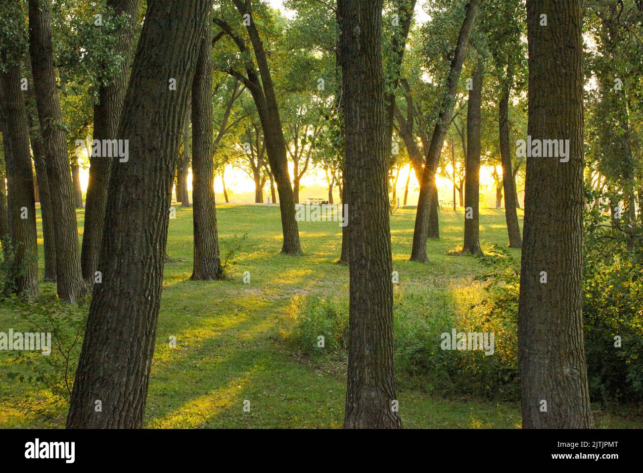Early evening sunset hi-res stock photography and images - Alamy