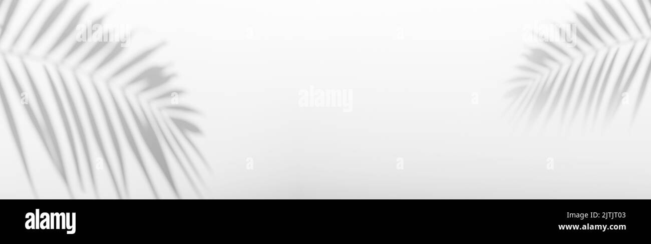 Tropical summer banner Black and White Stock Photos & Images - Alamy