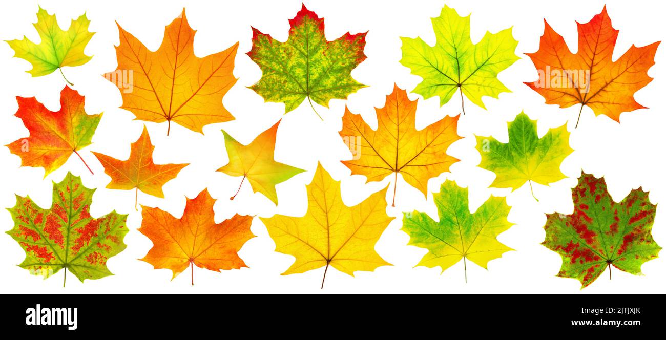 Red digital background Cut Out Stock Images & Pictures - Alamy