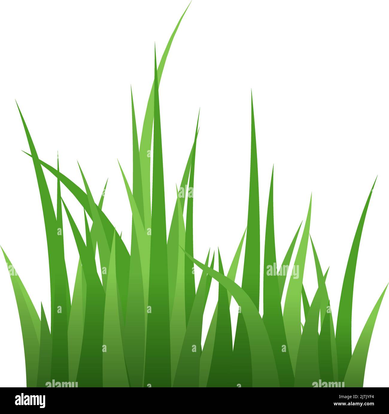 Green grass blades. Fresh summer plants. Eco symbol Stock Vector Image ...