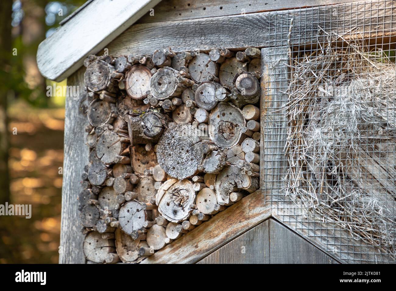 Insect house in Lithuanian forests Stock Photo - Alamy