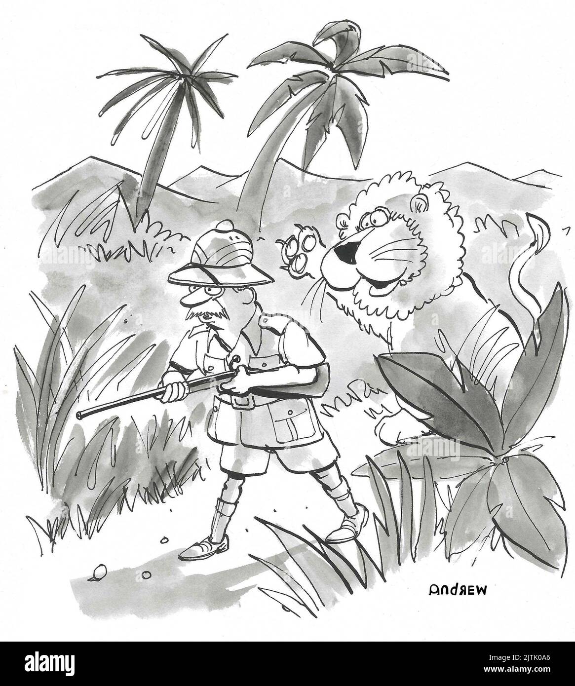 Hunter in Africa has drawn the attention of a lion Stock Photo - Alamy