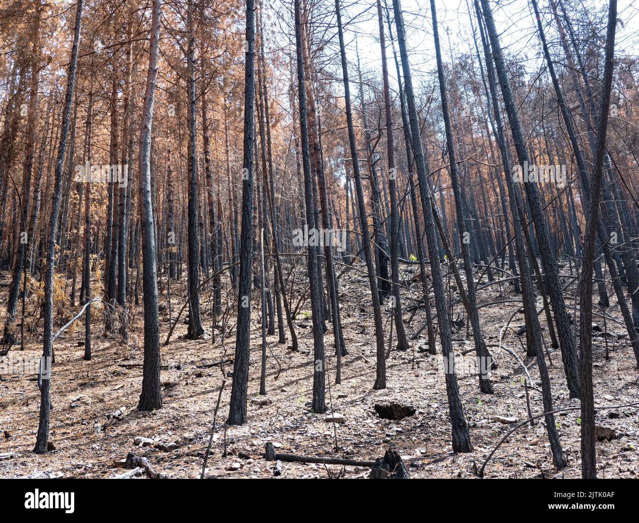 Fire pathway hi-res stock photography and images - Alamy