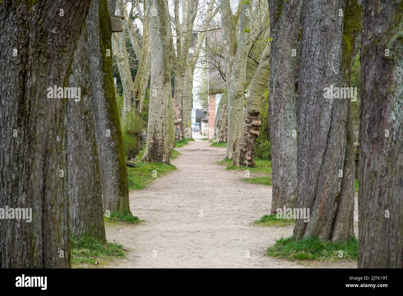 Walk of peace hi-res stock photography and images - Alamy