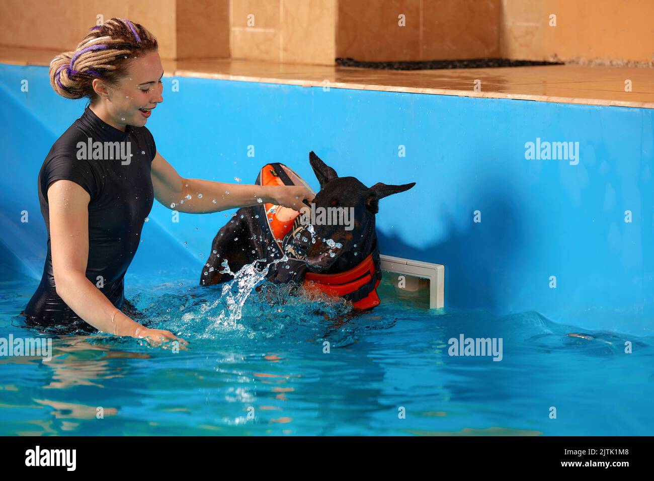 Dog in life jacket swim in the swimming pool with coach. Pet rehabilitation. Recovery training ...