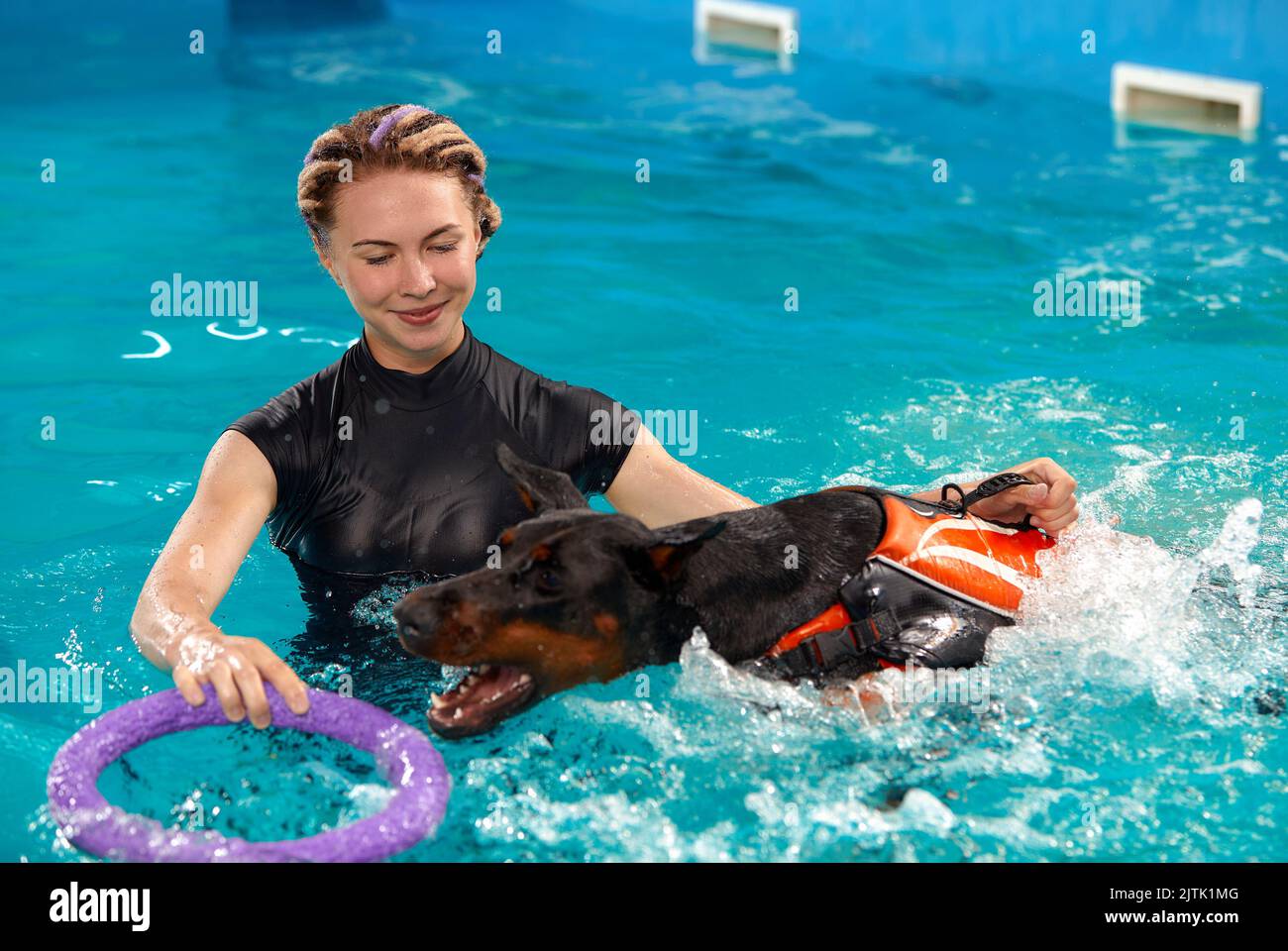 Dog in life jacket swim in the swimming pool with coach. Pet rehabilitation. Recovery training ...