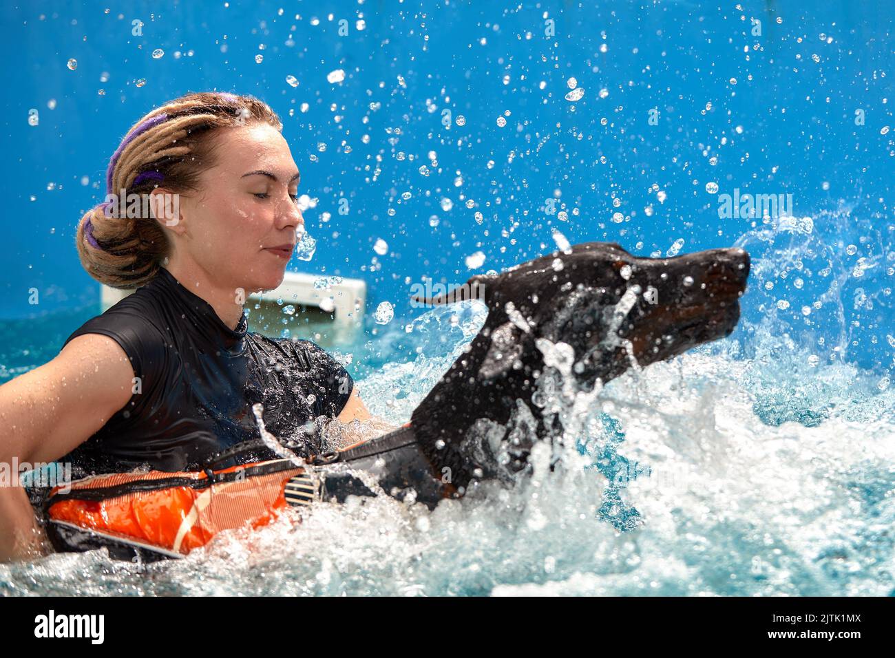 Dog in life jacket swim in the swimming pool with coach. Pet rehabilitation. Recovery training ...