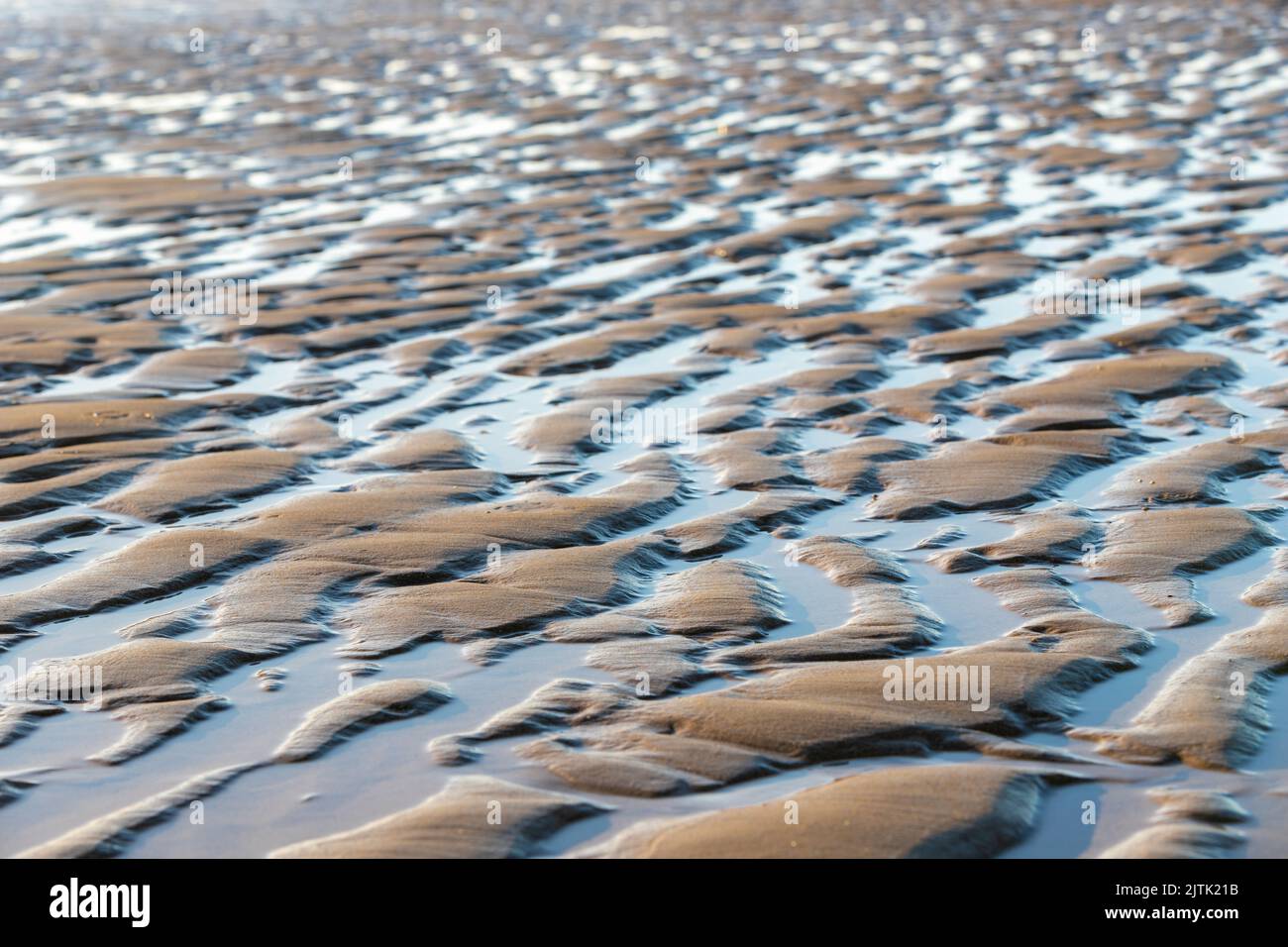 Typical view of the coastline after high tide, with the salty water ...