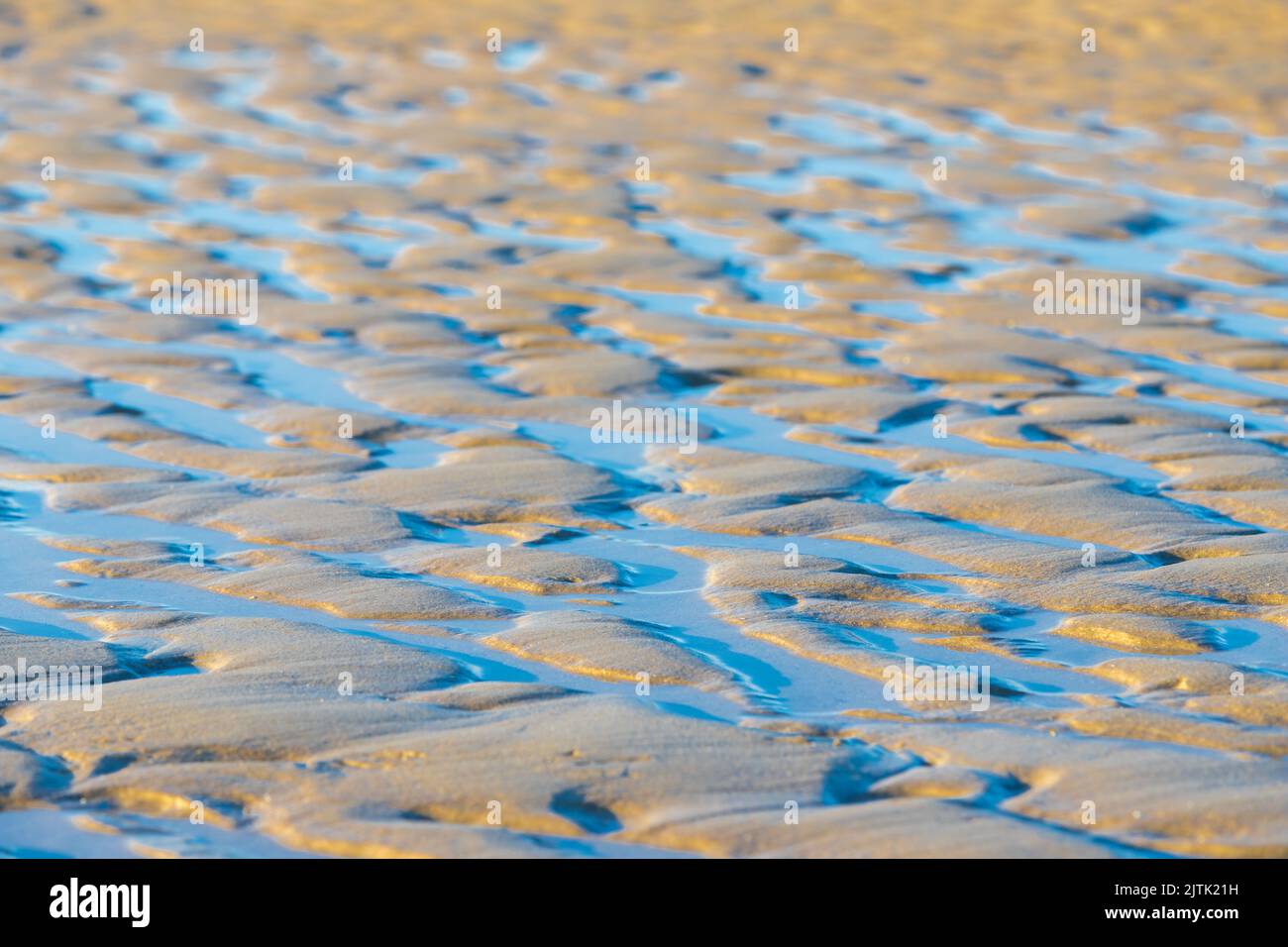 Typical view of the coastline after high tide, with the salty water ...