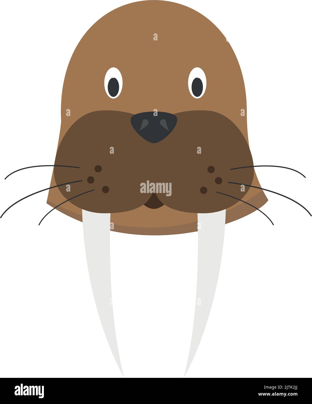 Walrus Face Clip Art