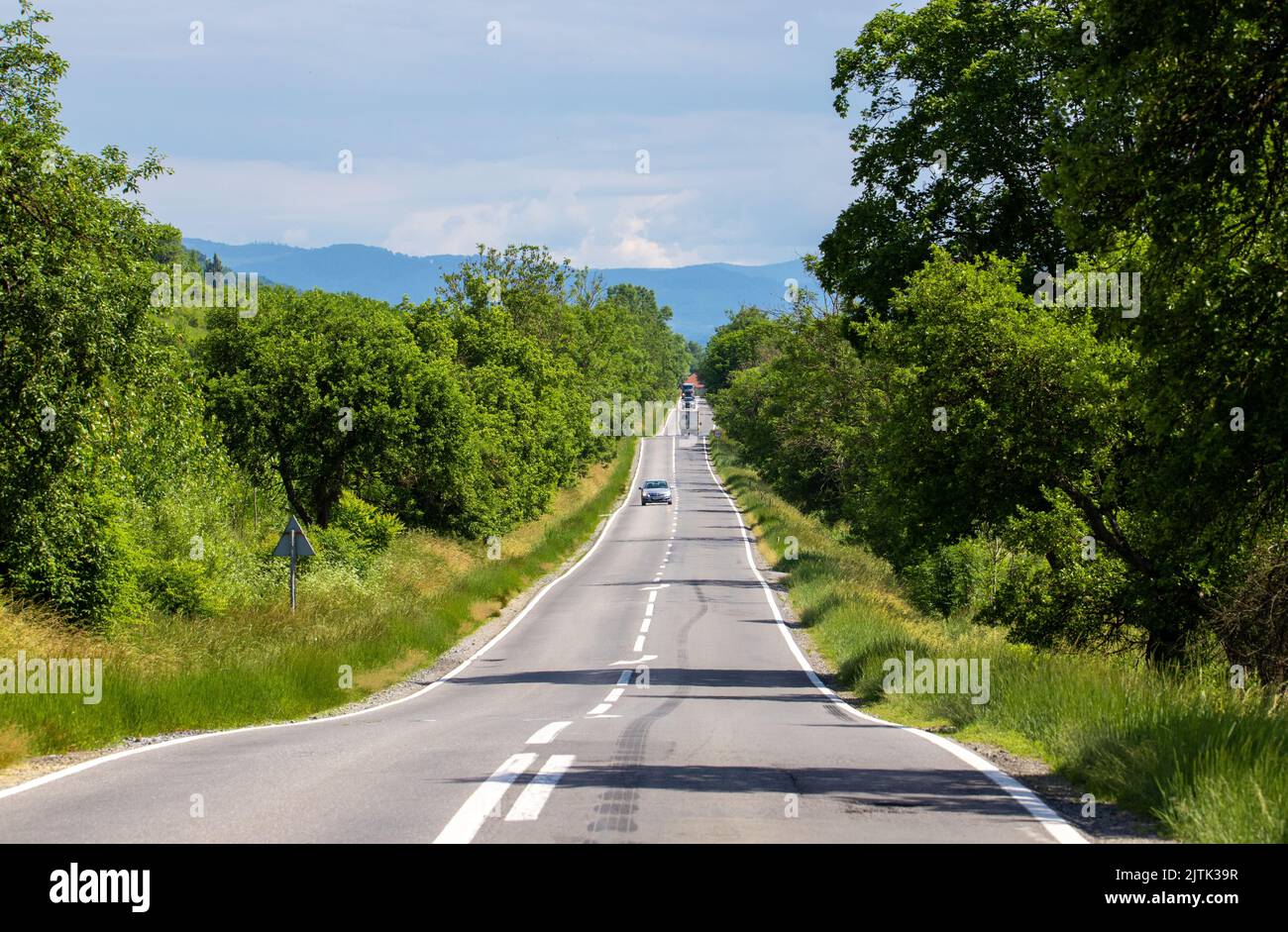 The cars moving on the road surrounded by green trees Stock Photo - Alamy