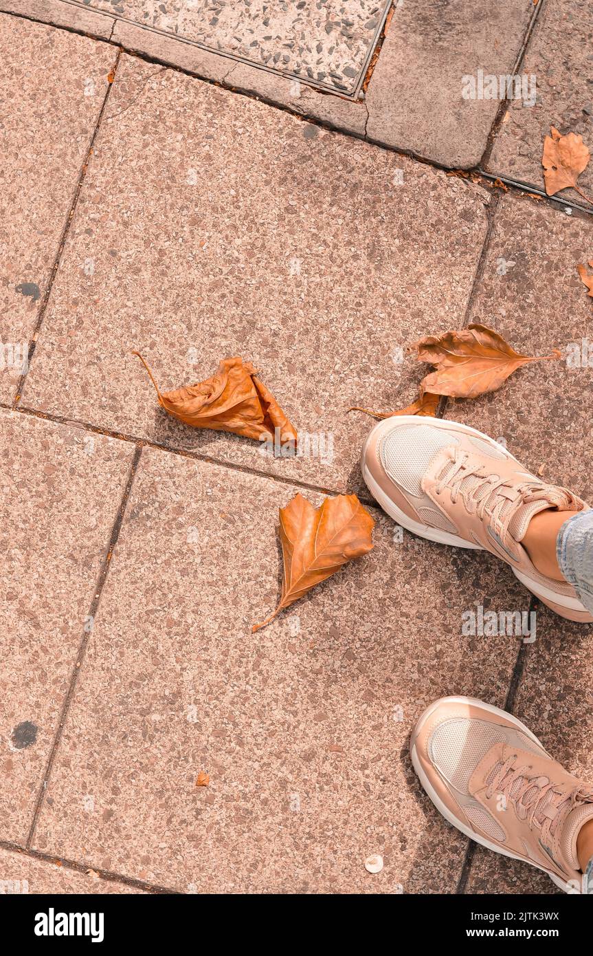 Golden and orange autumn leaves close up natural background Stock Photo ...