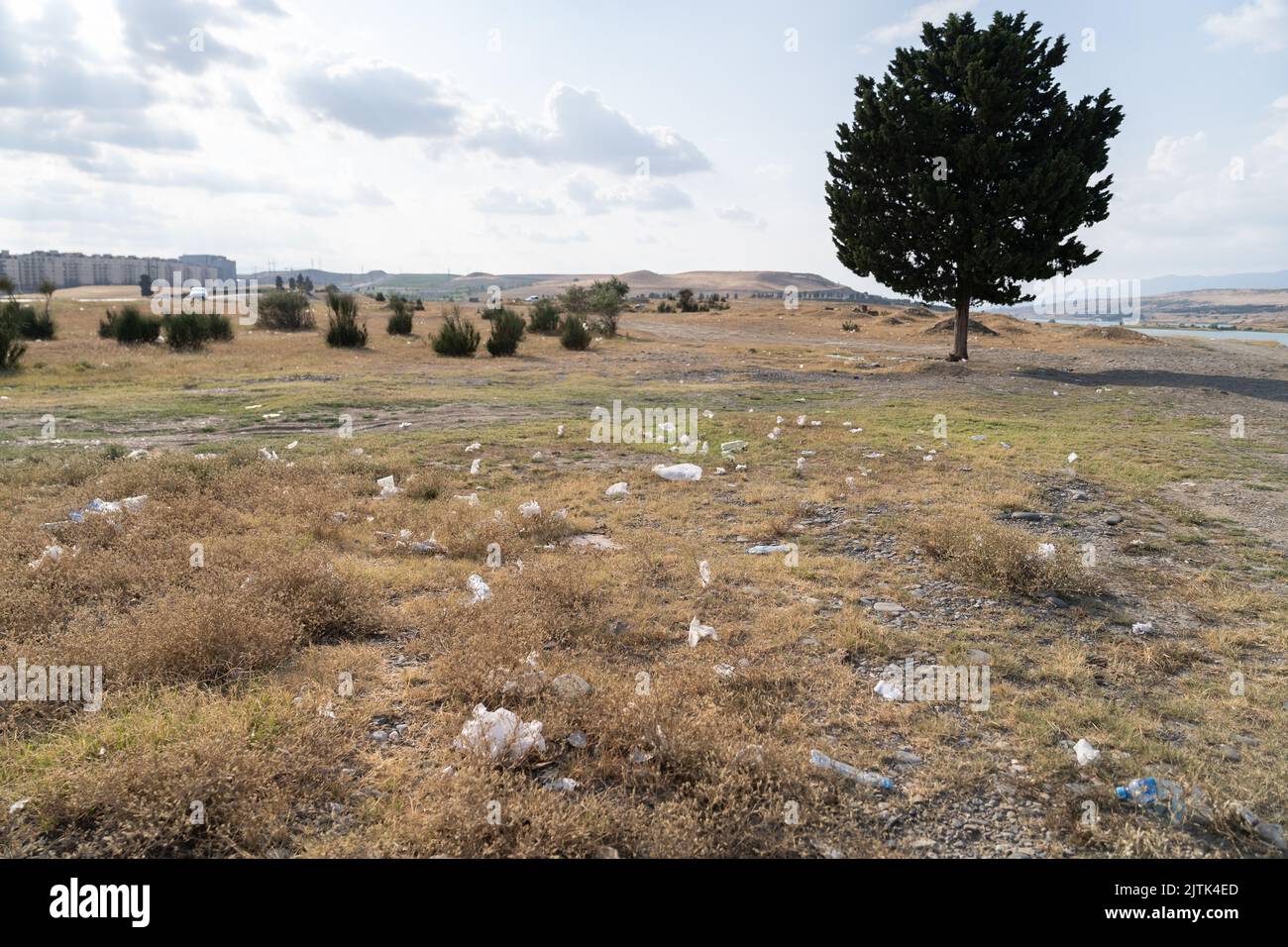 Rubbish scattered on yellowed grass of meadow with green trees and ...