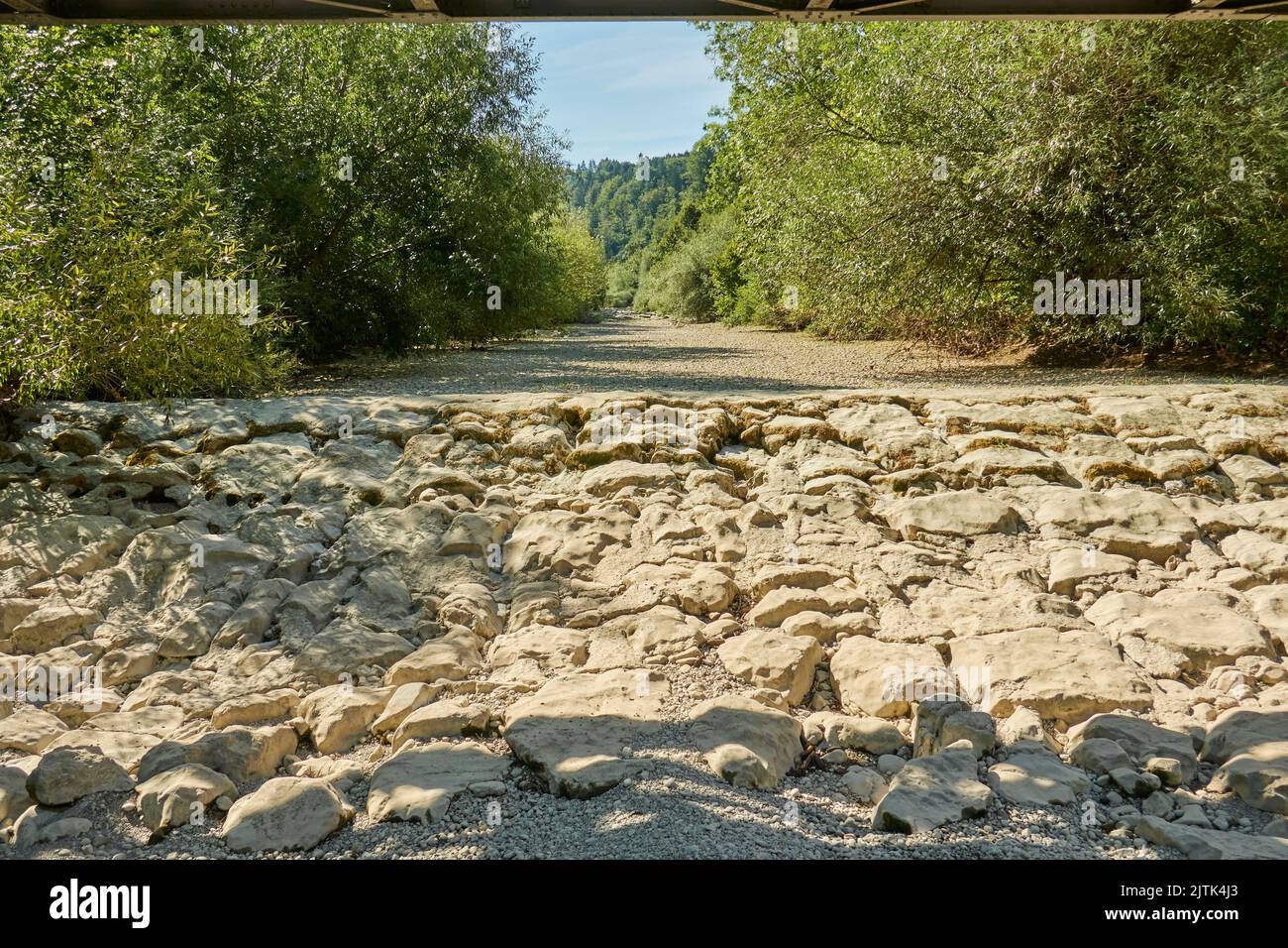 Dried Up Riverbed, Lined With Bushes. Zurich Oberland, Switzerland ...