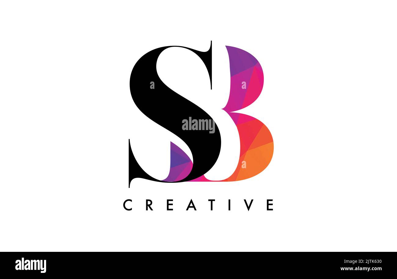 BS Letter Design with Creative Cut and Colorful Rainbow Texture. SB ...