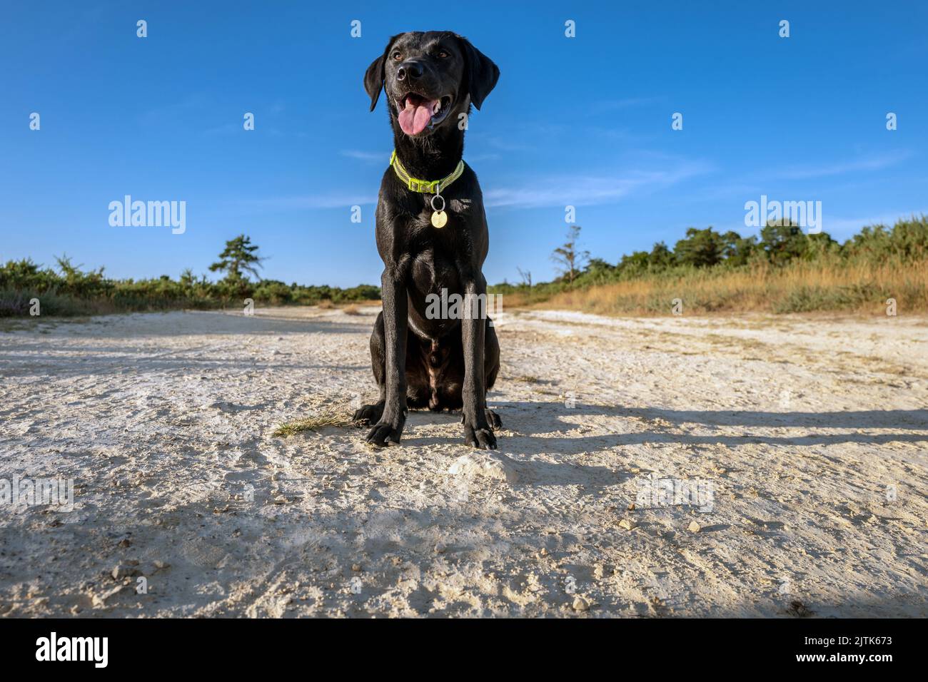 Chelwood village hi-res stock photography and images - Alamy