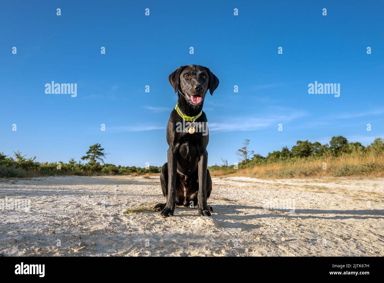 Chelwood village hi-res stock photography and images - Alamy