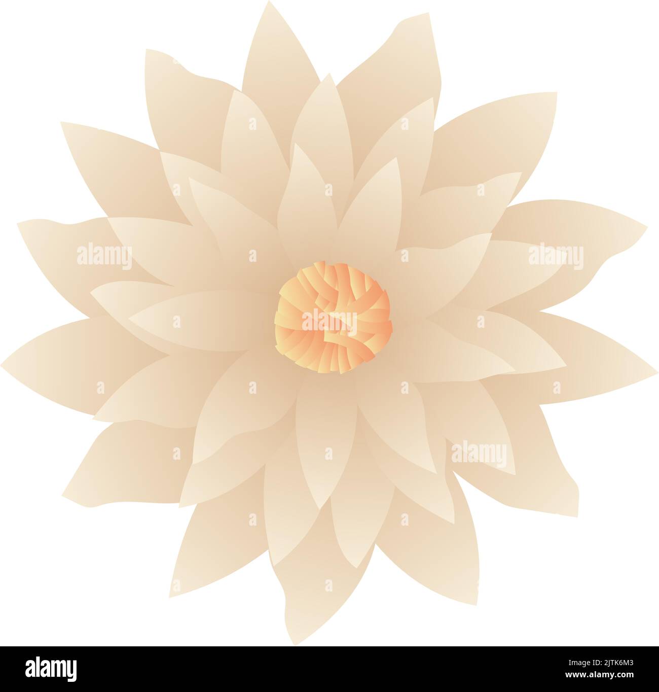 White lotus flower. Realistic blossom top view Stock Vector Image & Art ...