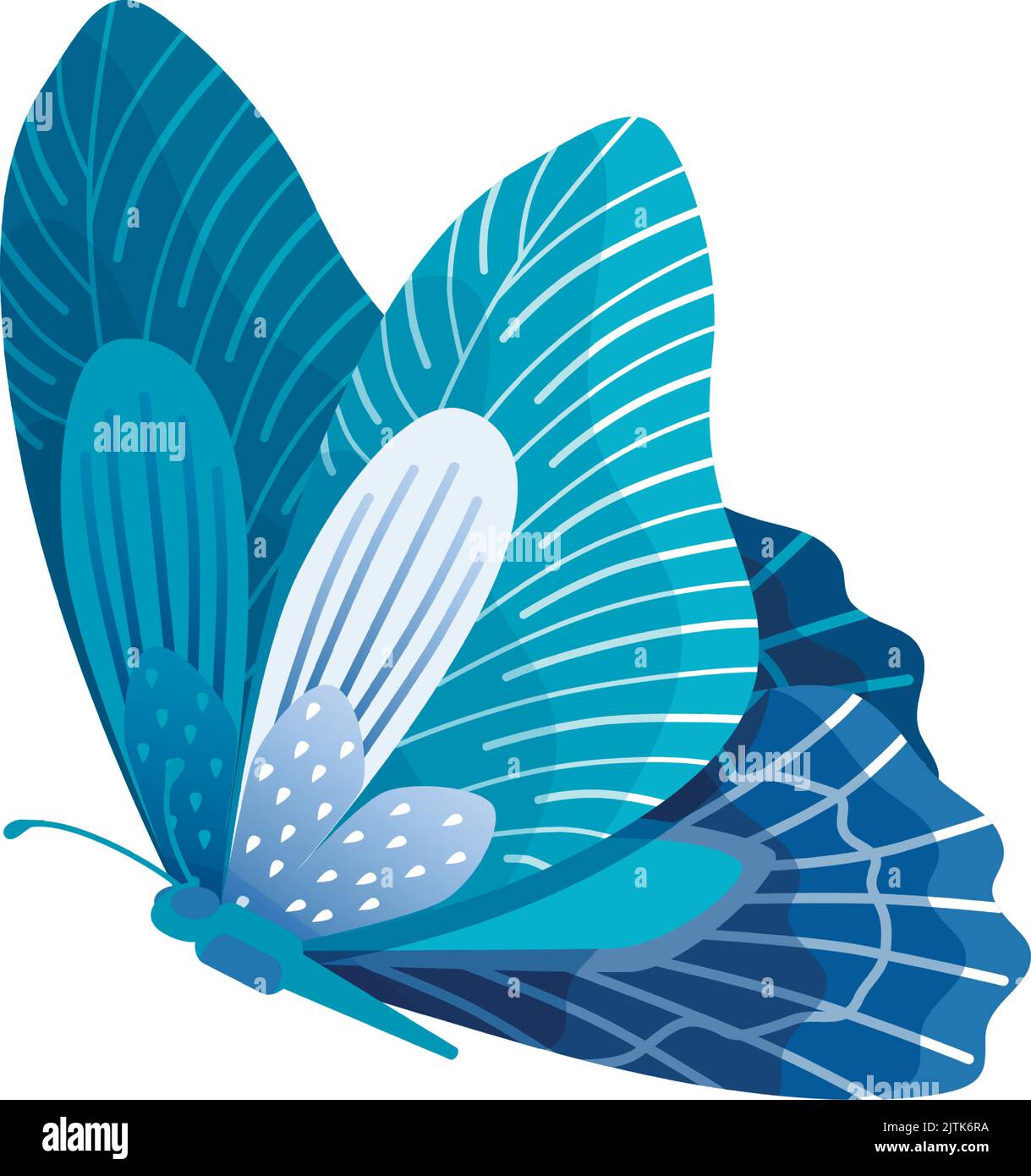 Blue butterfly flying. Beautiful patterned insect wings Stock Vector ...