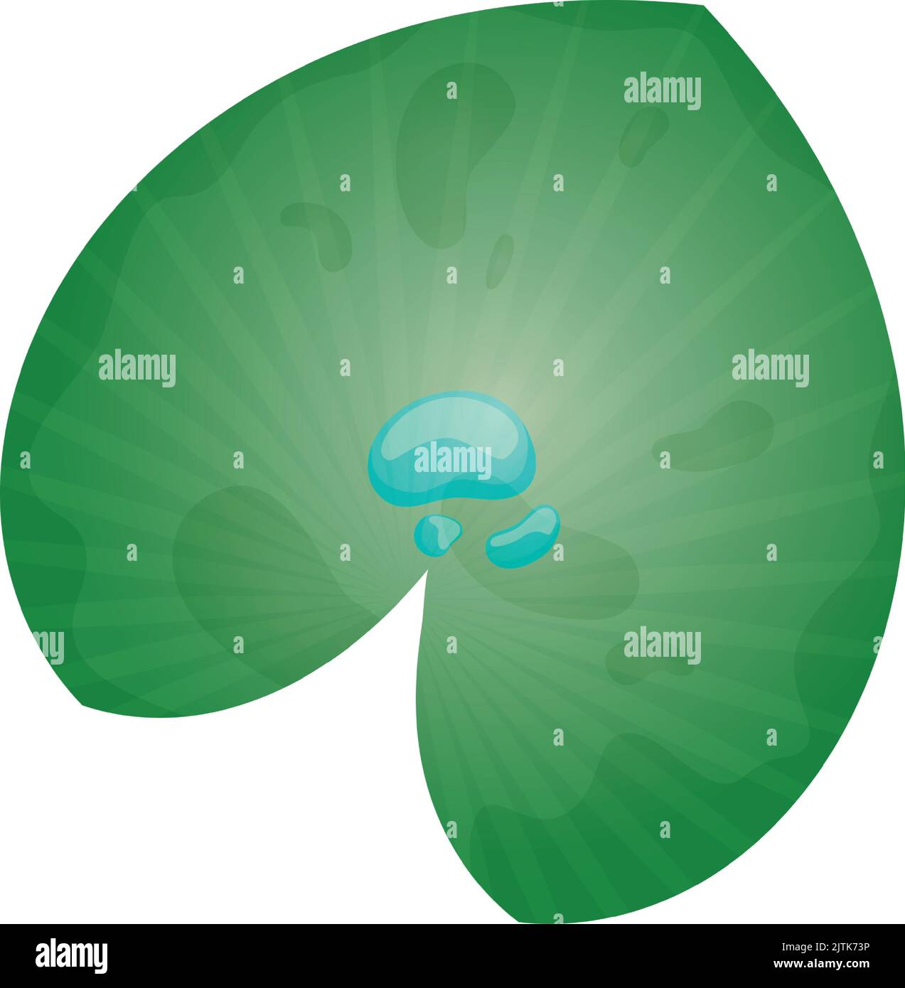 Green leaf. Water plant foliage top view Stock Vector Image & Art - Alamy