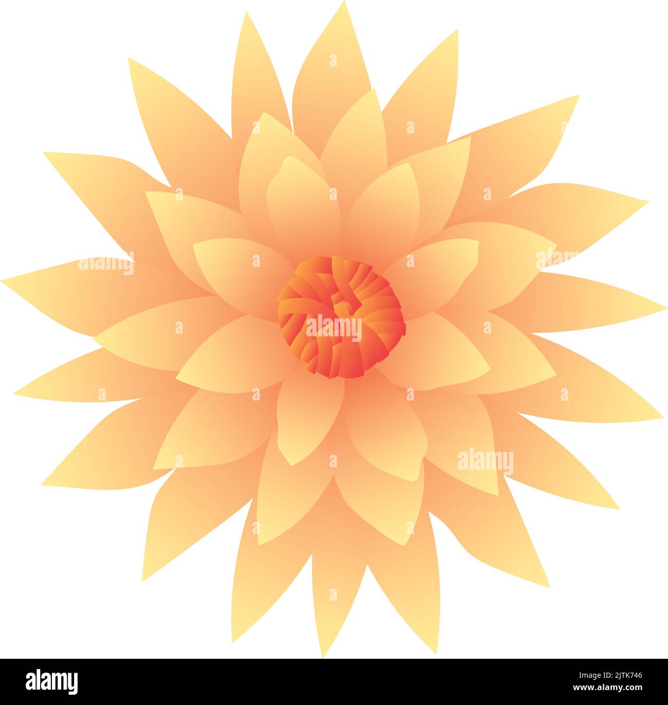 View beautiful water lily Cut Out Stock Images & Pictures - Alamy