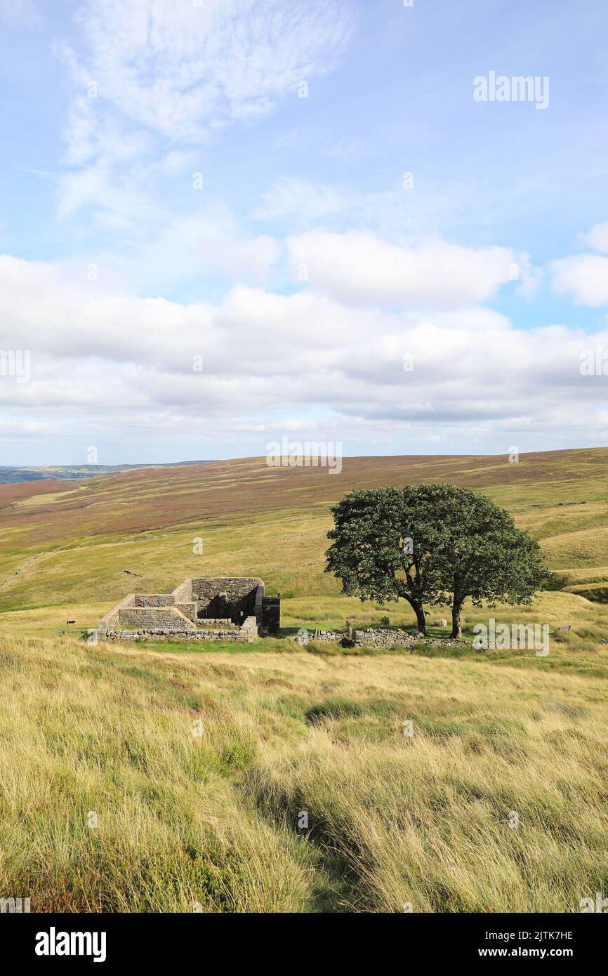 Ruined Top Withins Farm, reached via the Bronte Way, thought to be the ...