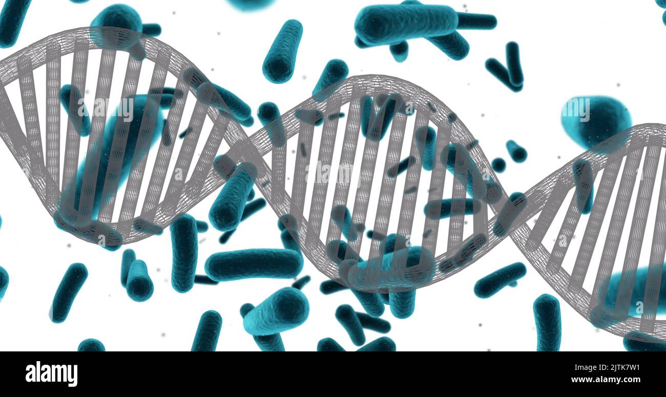 Image of dna strand over cells on white background Stock Photo - Alamy