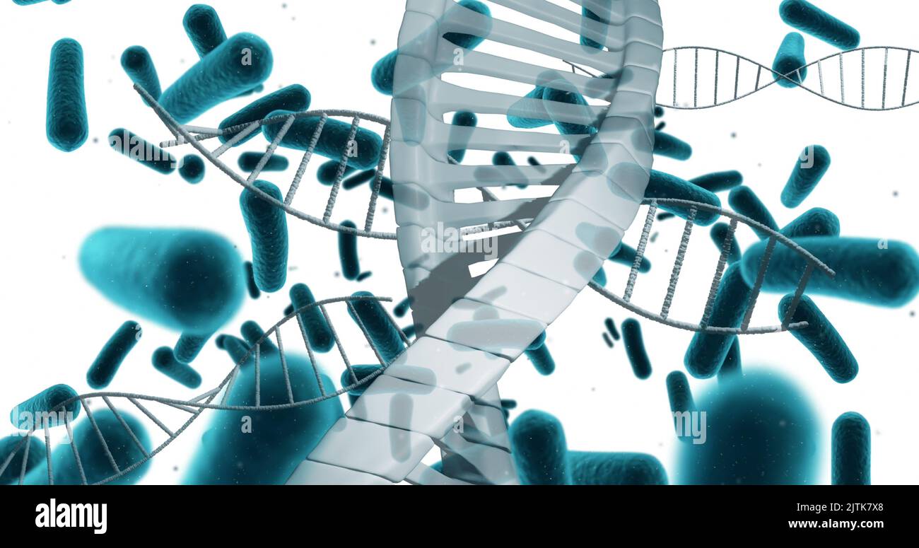 Image of dna strands over cells on white background Stock Photo - Alamy