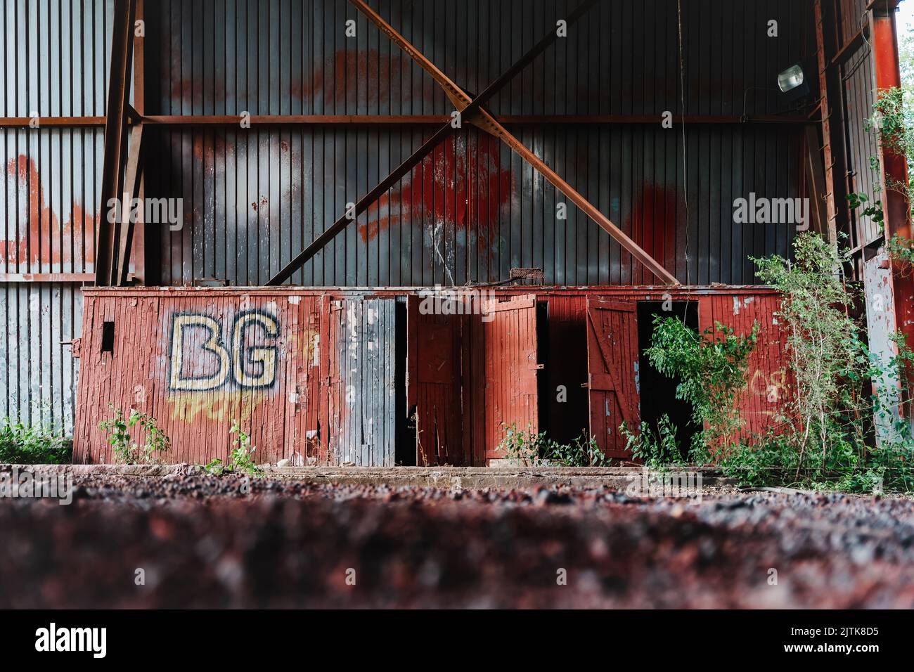 Brown old Abandoned Weathered Boxcar with plants under old metal wall ...