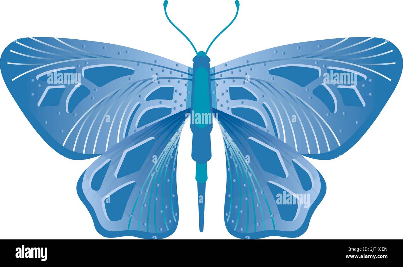 Nocturnal butterfly. Fantasy pattern winged moth animal Stock Vector ...