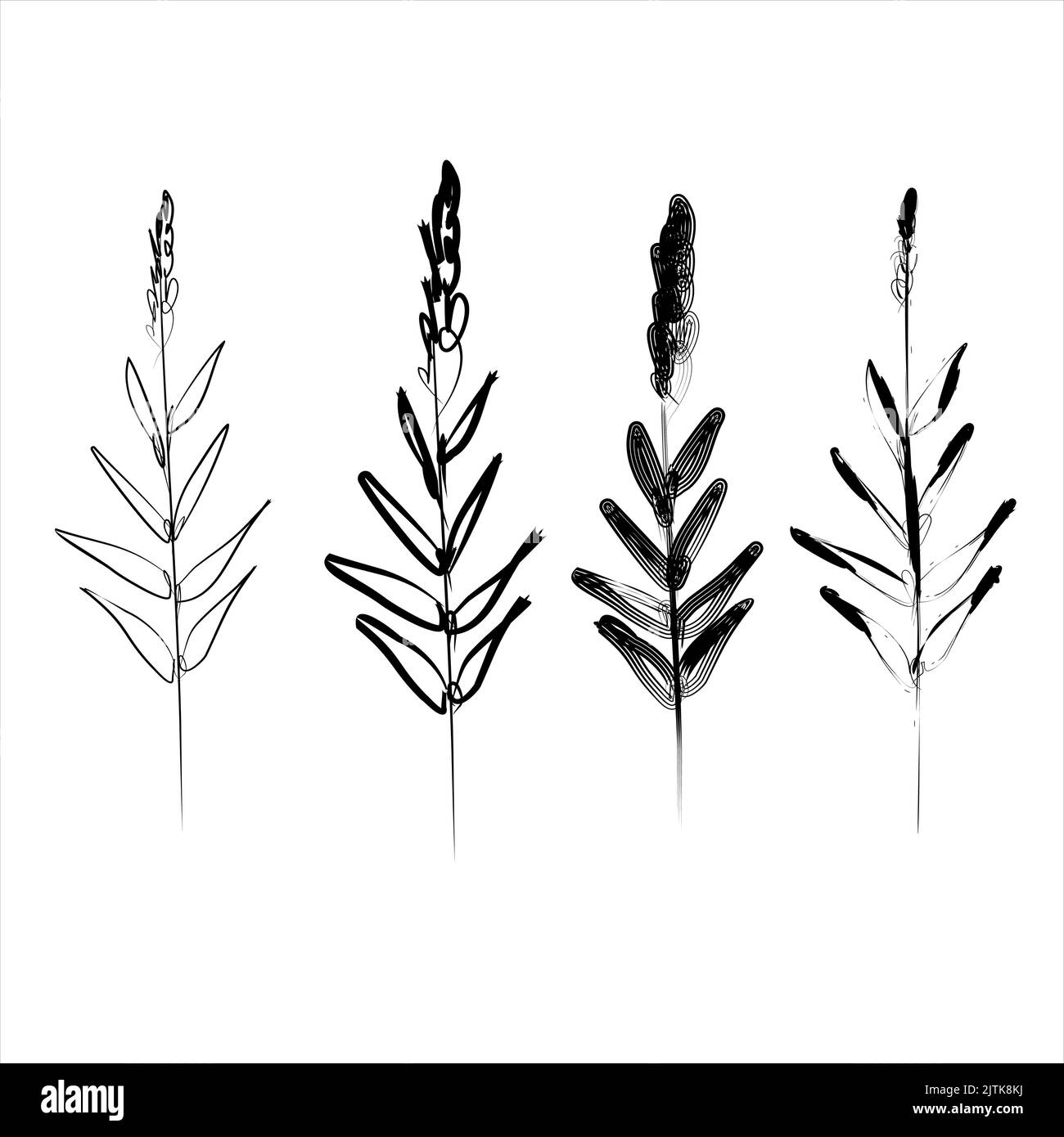 Free Hand Illustration Of Grass Drawing As A Design Element Stock Vector Image And Art Alamy