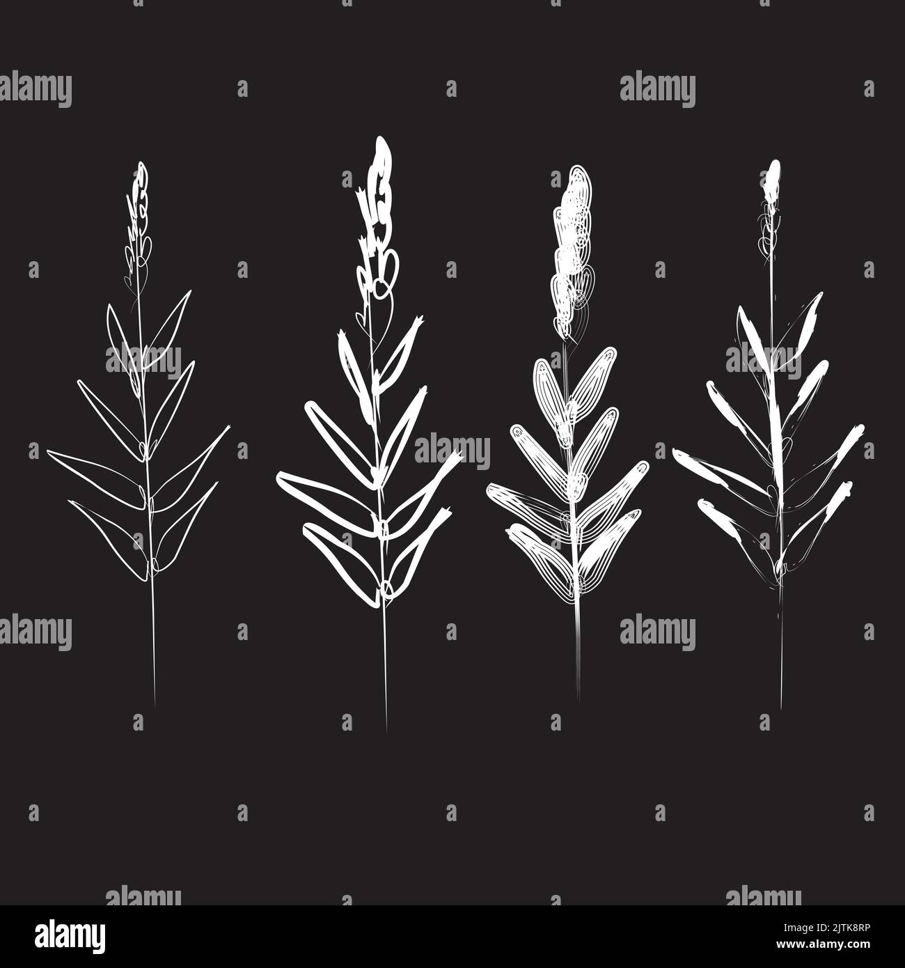 Free hand illustration of grass drawing as a design element Stock ...