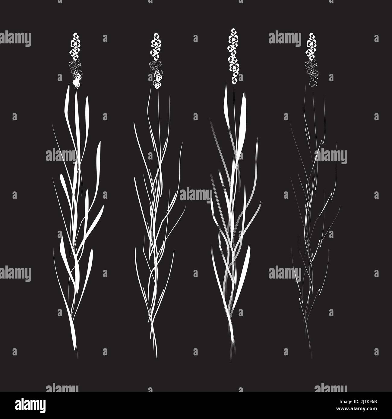 Free hand illustration of grass drawing as a design element Stock ...