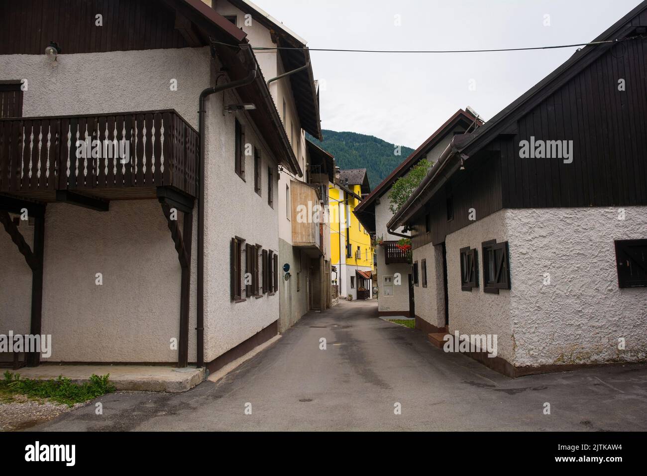 White carniola hi-res stock photography and images - Alamy