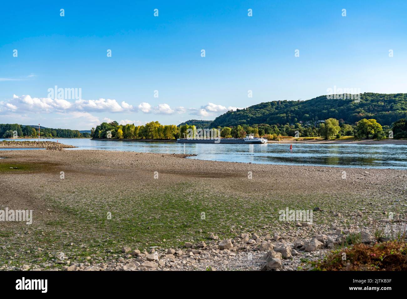The Rhine at extremely low water, near Bad Honnef Rhöndorf, below the ...